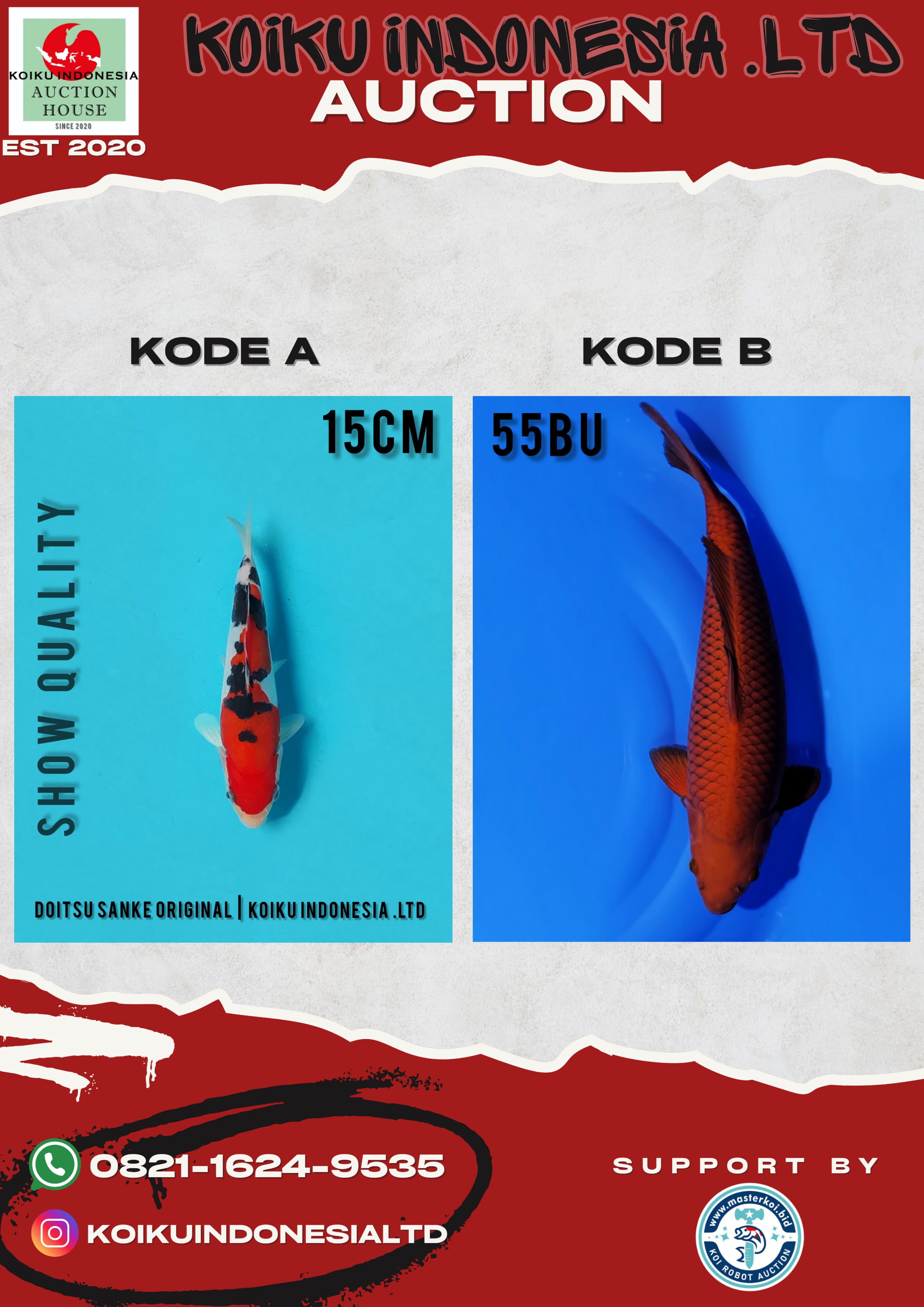 Master Koi - Lelang Ke-#017 Koiku Indonesia, Ltd Kuningan