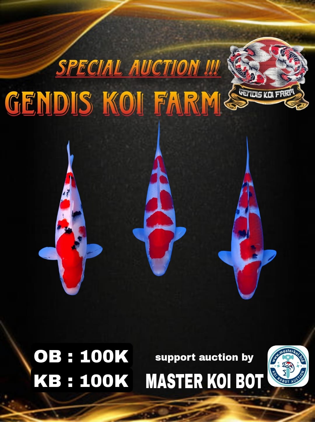 Master Koi - Lelang Ke-#062 Gendis Koi Blitar