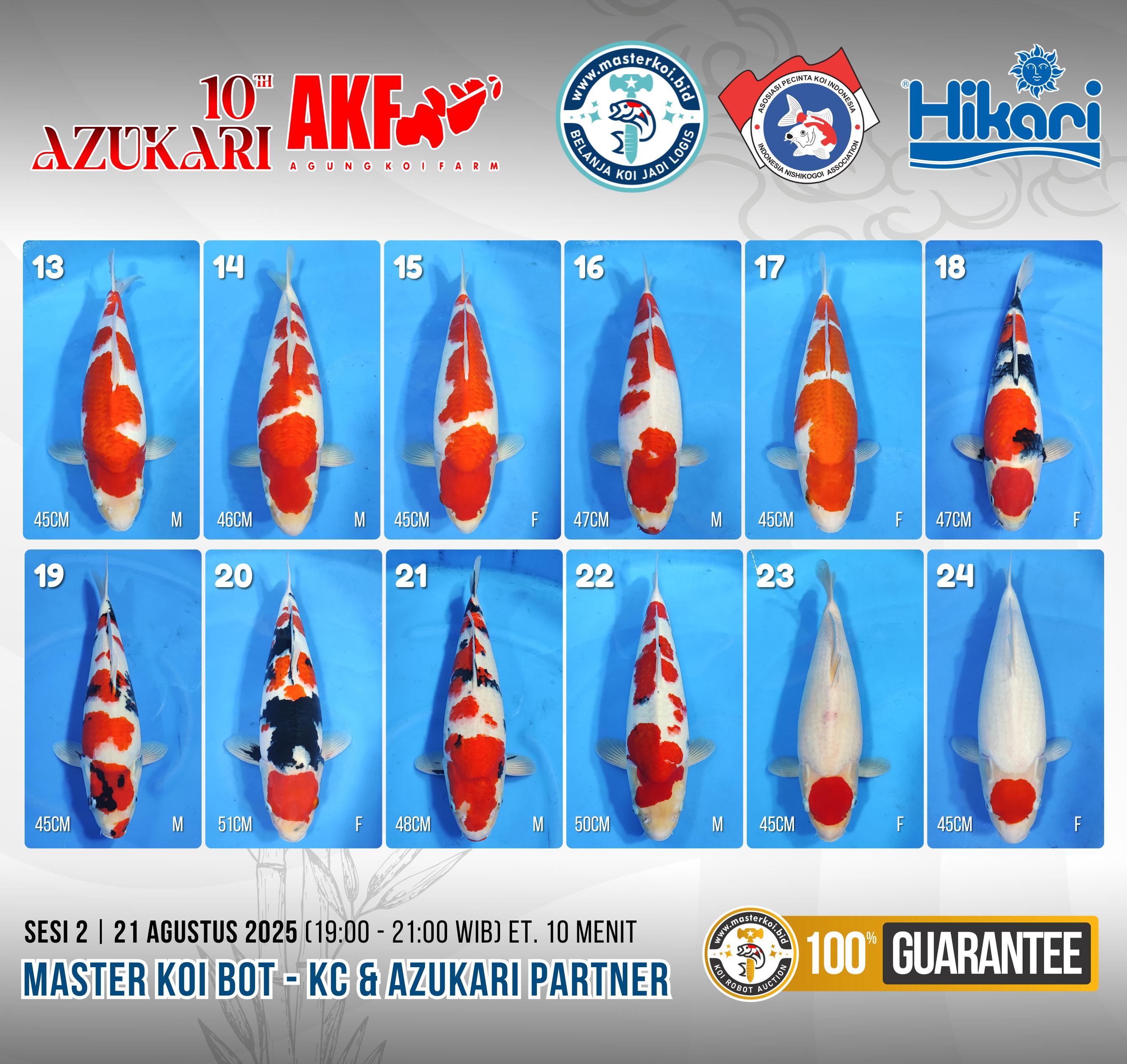Master Koi - Lelang Ke-#014 Agung Koi Farm Akf Kediri [Azukari]