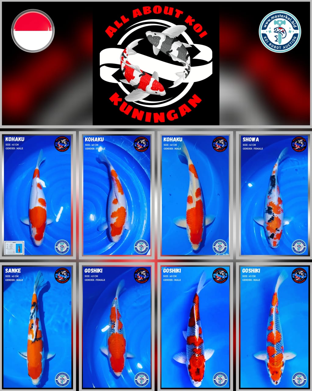 Master Koi - Lelang Ke-#012 All About Koi Kuningan