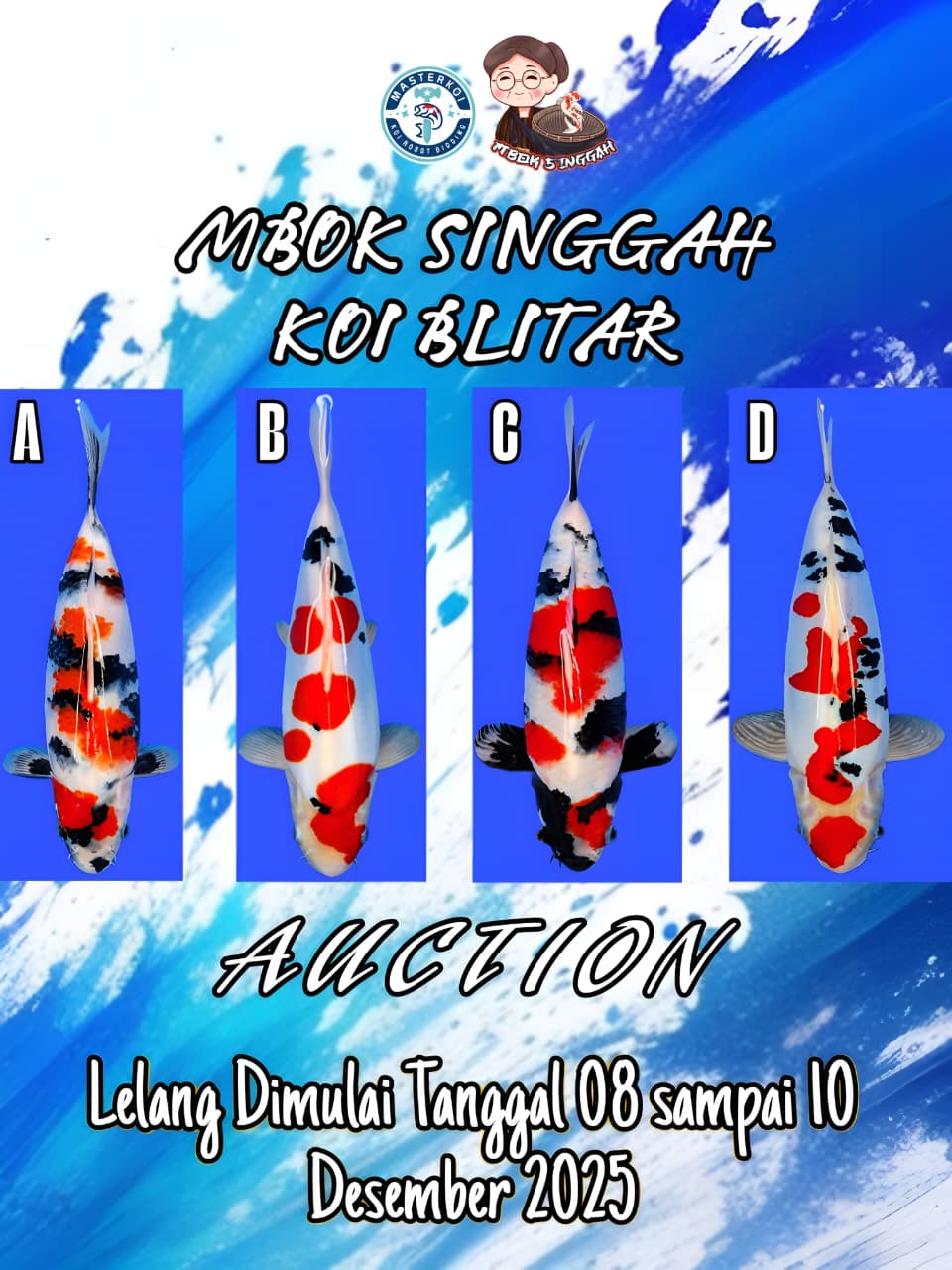 Master Koi - Lelang Ke-#009 Mbok Singgah Koi Blitar