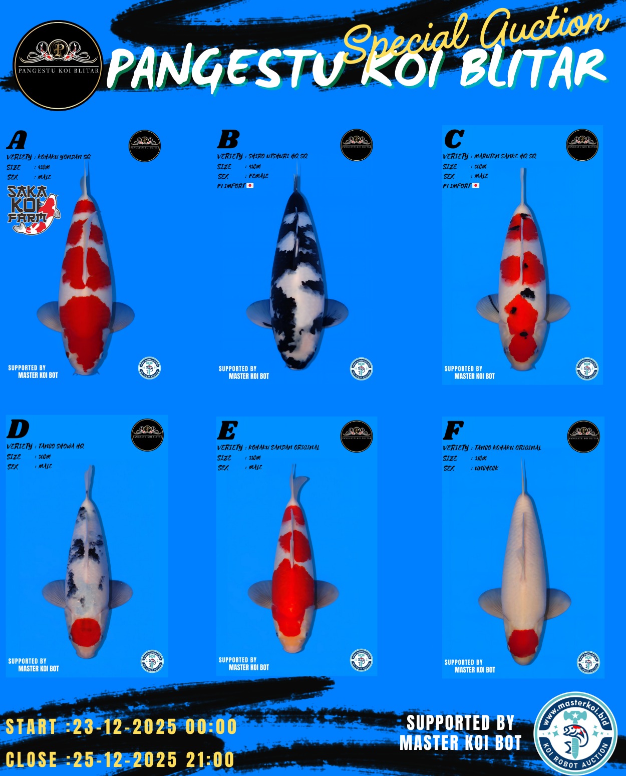 Master Koi - Lelang Ke-#089 Pangestu Koi Blitar