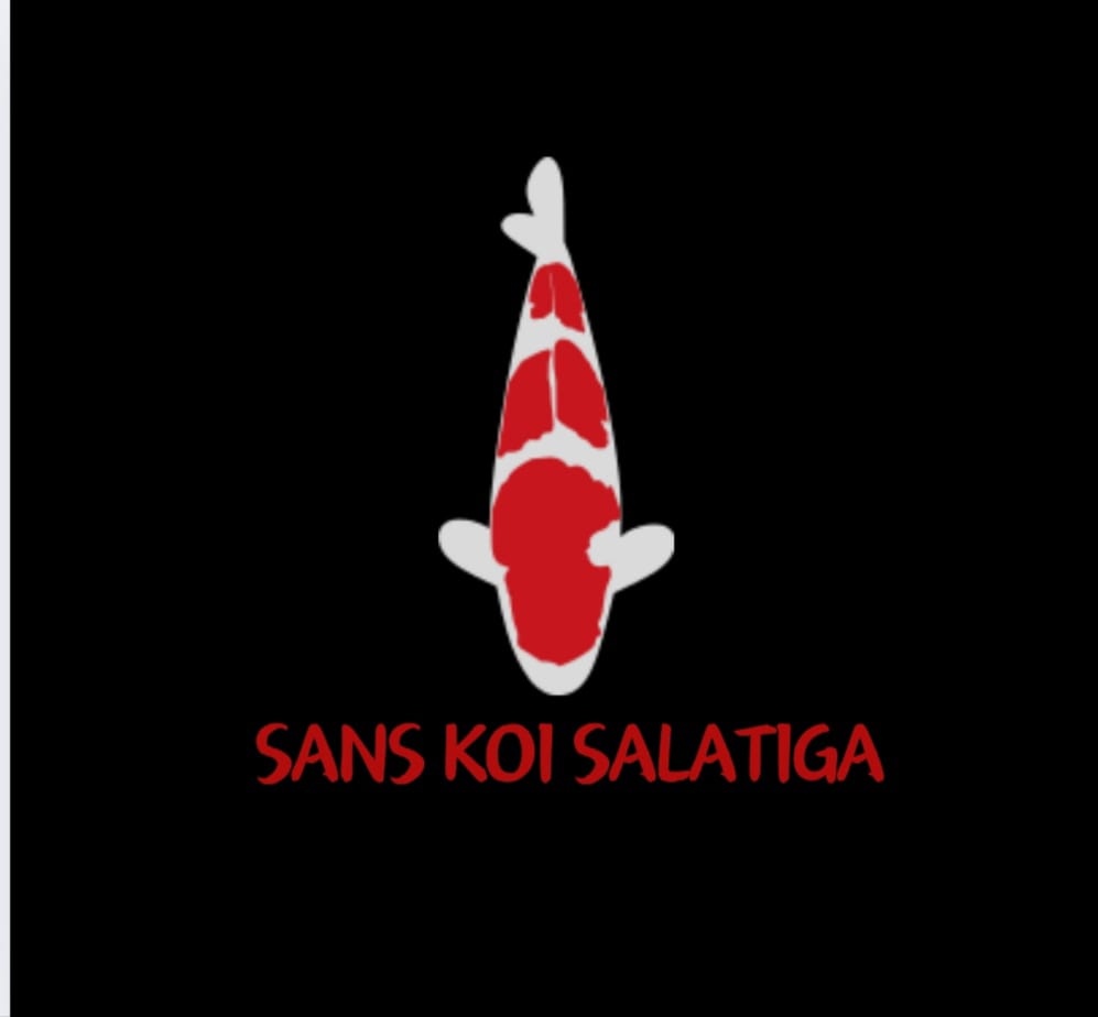 Master Koi - Lelang Ke-#007 Sans Koi Salatiga